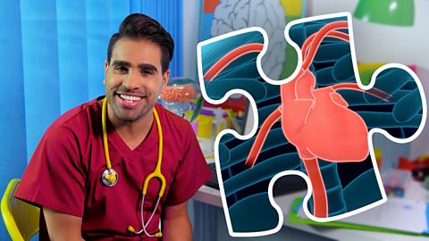 Jigsaw Puzzles - CBeebies - BBC