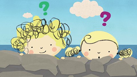 Quizzes from CBeebies - CBeebies - BBC