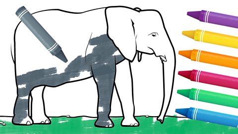 Print and Colour - CBeebies - BBC