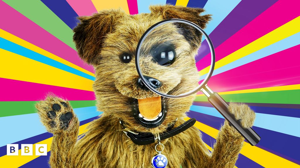 Spot Hacker - CBBC