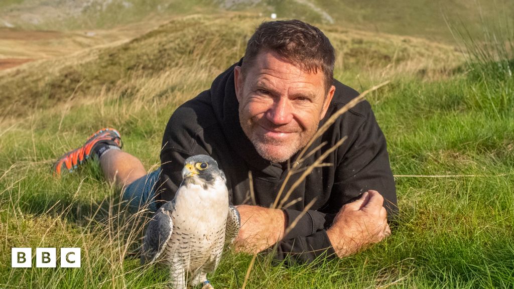 Ask Steve Backshall a question - CBBC
