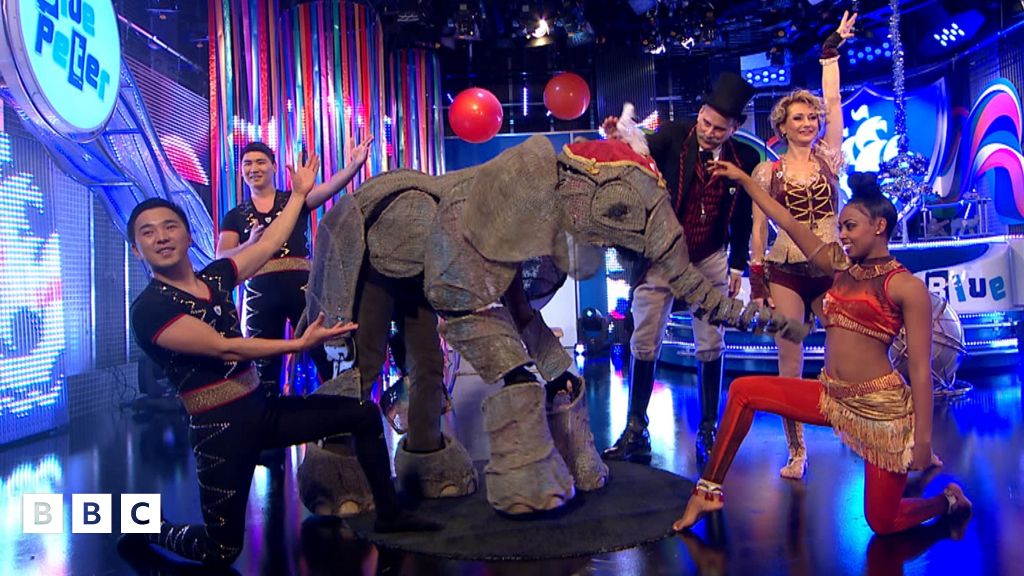 Quiz: Which circus act are you? Find out with this fun personality quiz ...