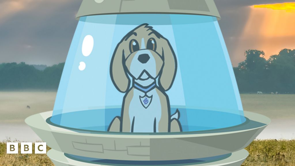 Game - Henry The Time Traveling Dog - CBBC
