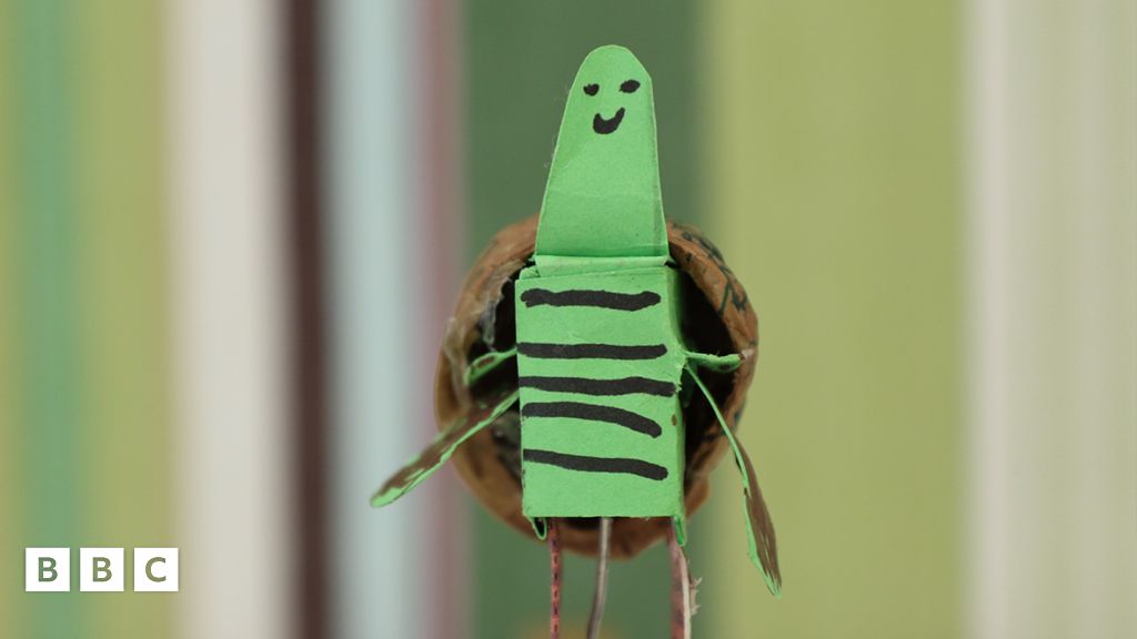 Post of the Week: Shelley Peg Puppet - CBBC