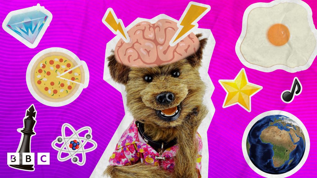 Ask Hacker's Brain - CBBC