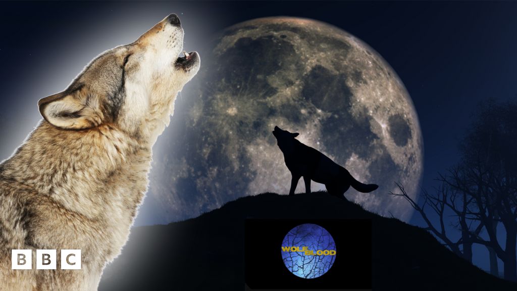 You sent us your longest howls - CBBC