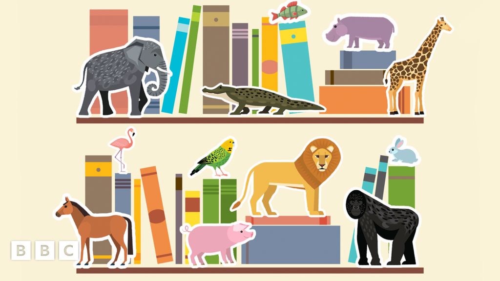Animals from classic books quiz - CBBC