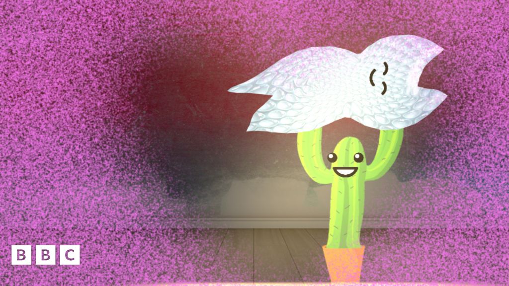 Cactus and Bubblewrap by turtleunicorn - CBBC