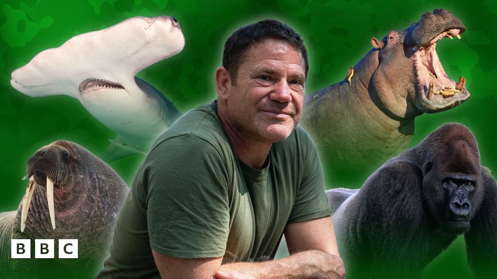 VOTE: What's your ultimate deadly animal? | Deadly 60 Steve Backshall vote about animals ...