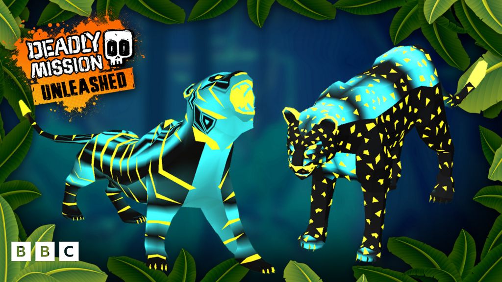 Winner of the Deadly Mission Unleashed vote - CBBC