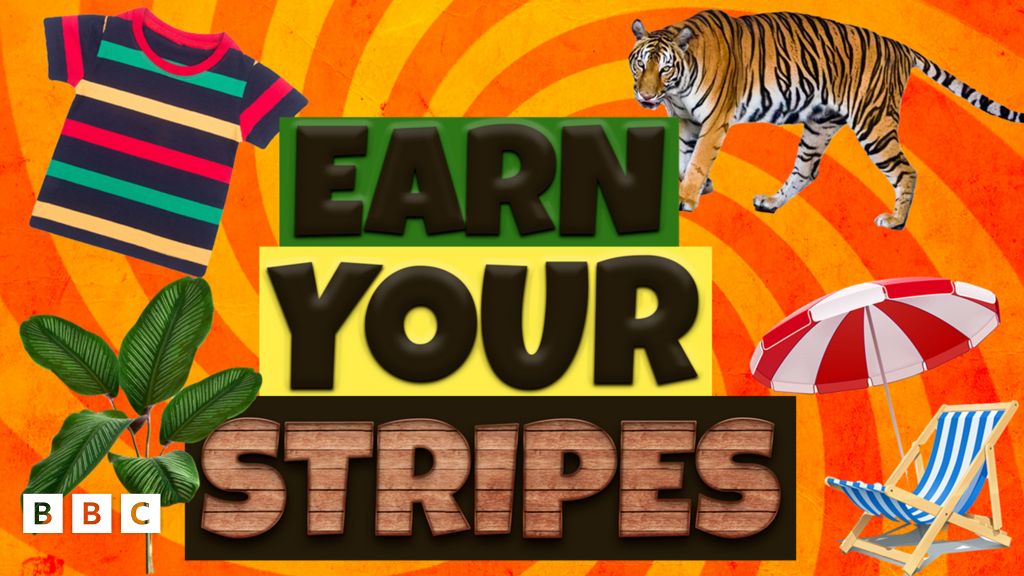 Earn You Stripes! - CBBC
