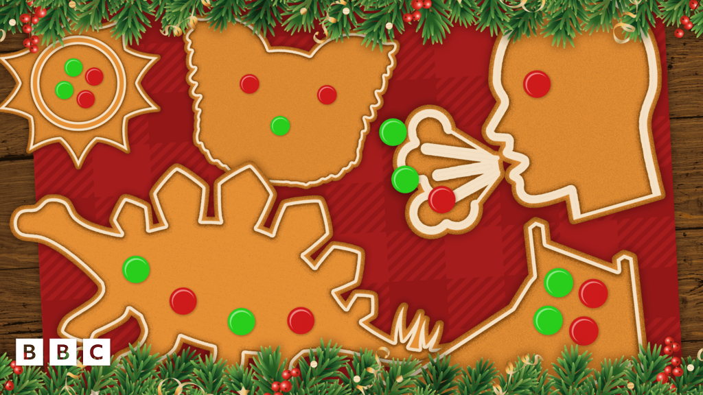 Christmas personality quiz | Which gingerbread are you? - CBBC