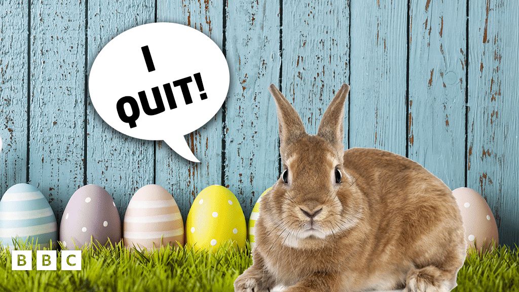 Fun free Easter bunny quiz for children aged 6-12 - CBBC