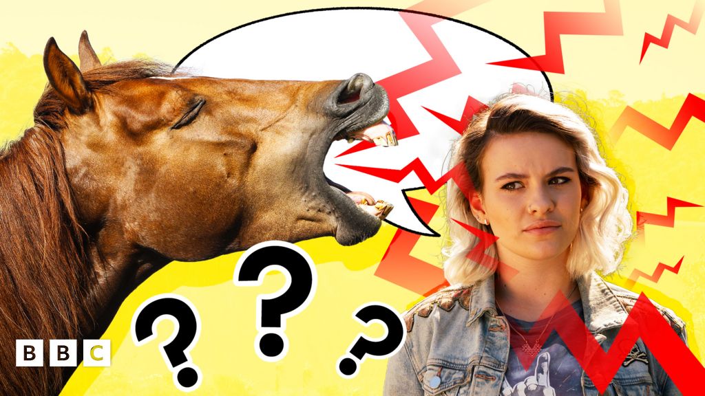 Quiz: What did you NEIGH?! - CBBC