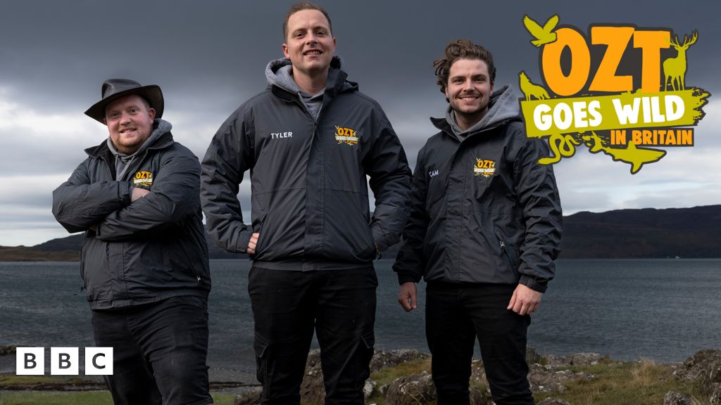 Send us your wildlife photos and videos - CBBC