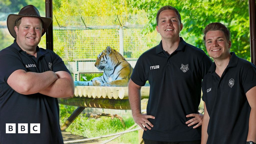 One Zoo Three: Find your Episode! - CBBC