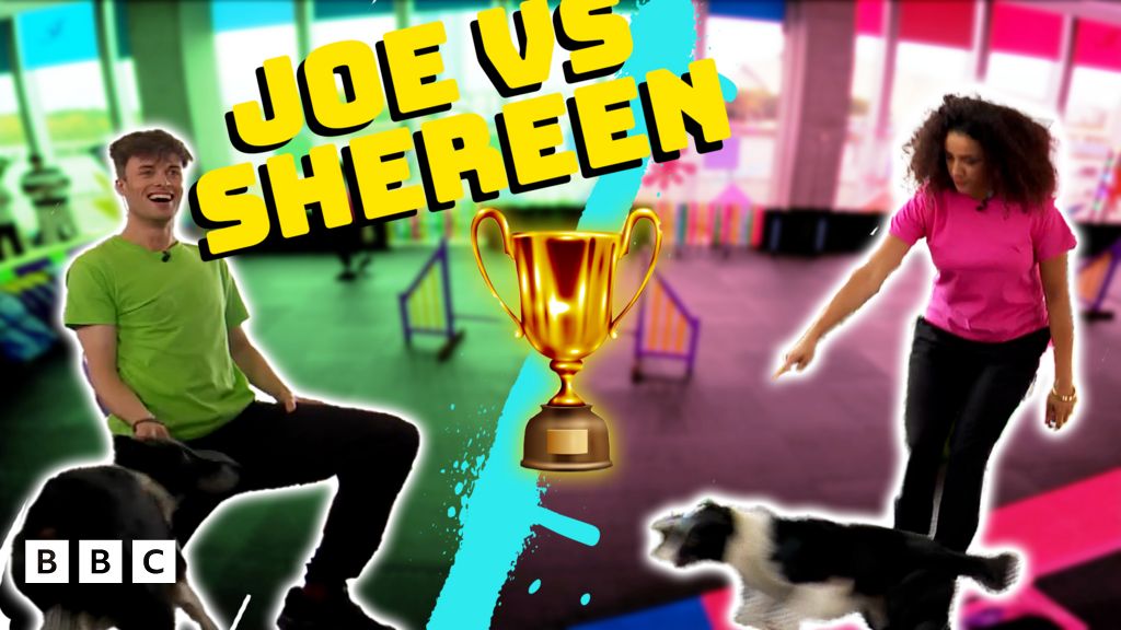 Joe Tasker Shereen Cutkelvin Stanley Joe V Shereen Dog Kia Pegg Course ...