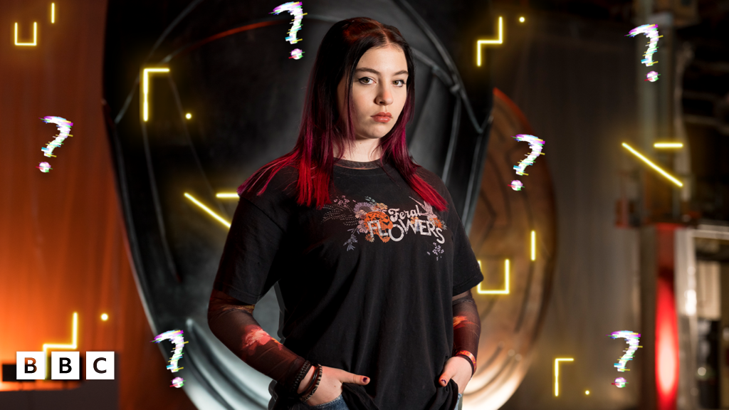 Silverpoint - Memory Challenge Quiz | Silverpoint, Series 2 | Children ...