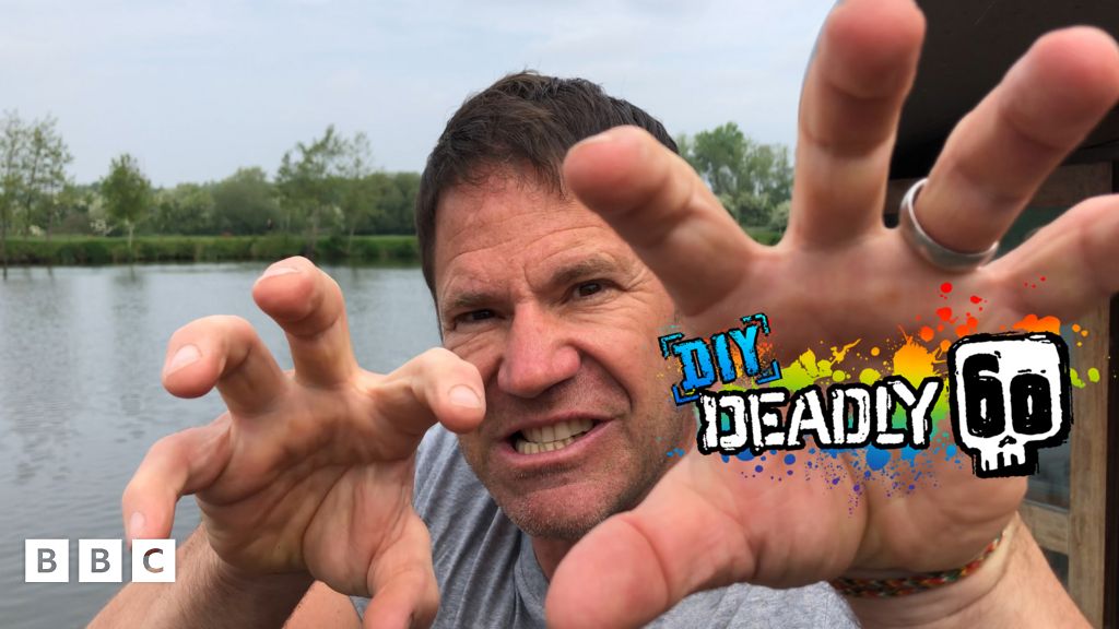 DIY Deadly - CBBC