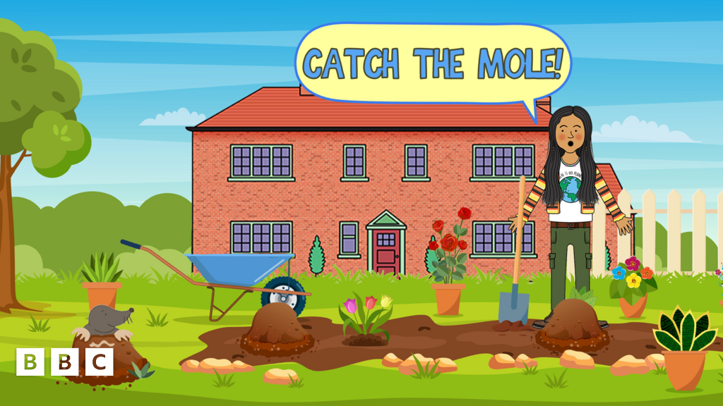 Quiz: Catch The Mole - CBBC
