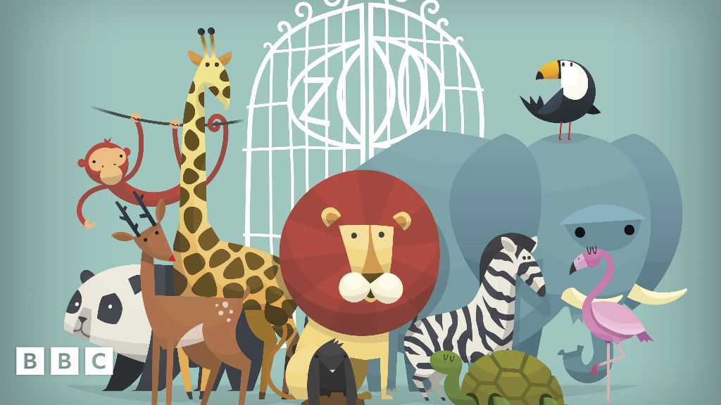 Quiz of the Week - Animals - CBBC