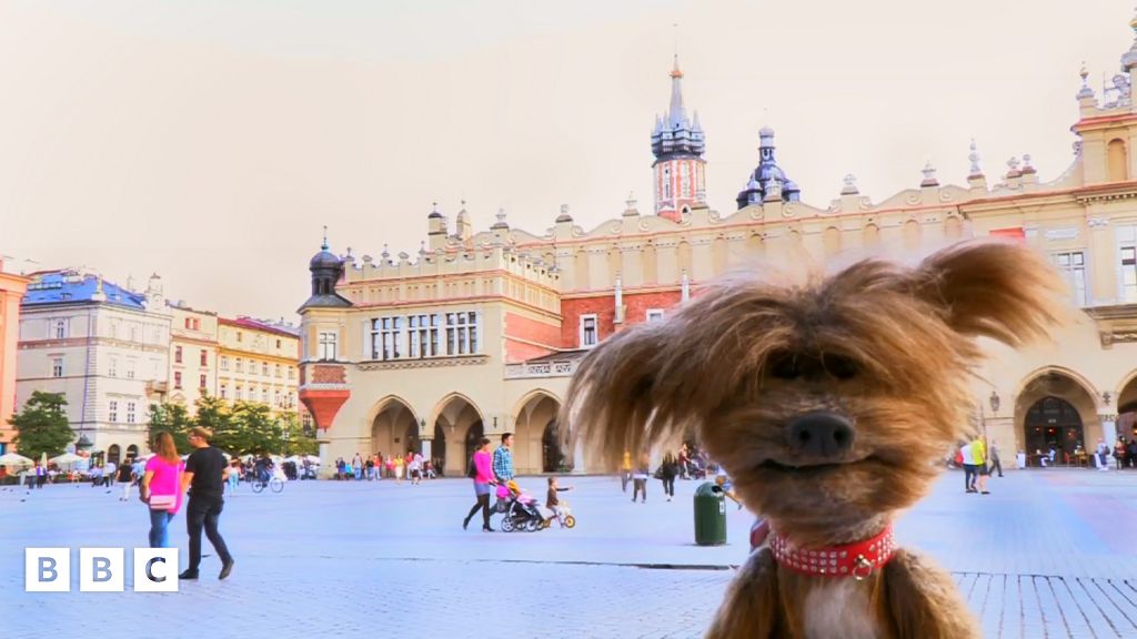 Dodge goes behind the scenes in Poland - CBBC