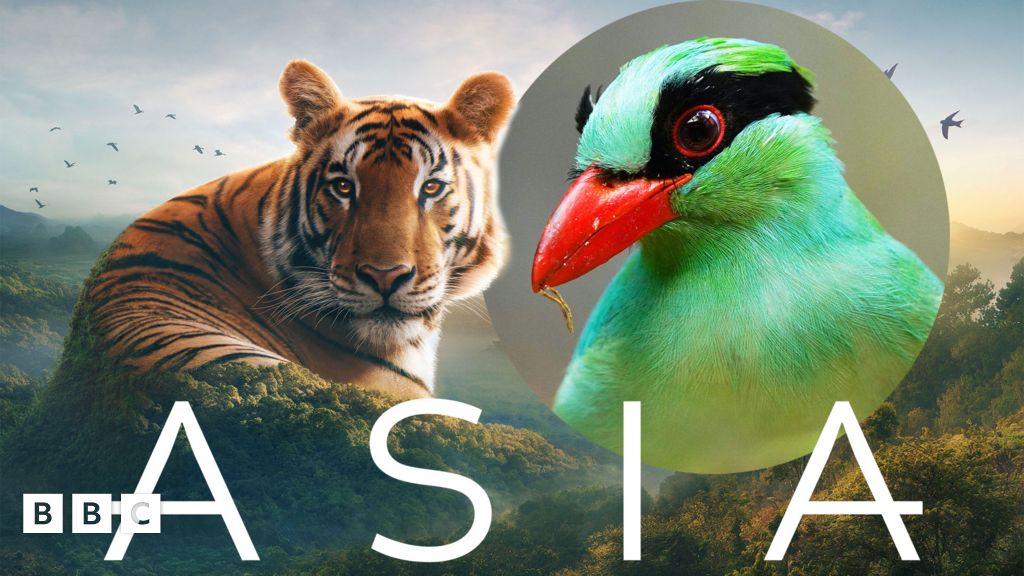 Asia Episode 7 Saving Asia | Quiz | Did you know these facts from BBC ...