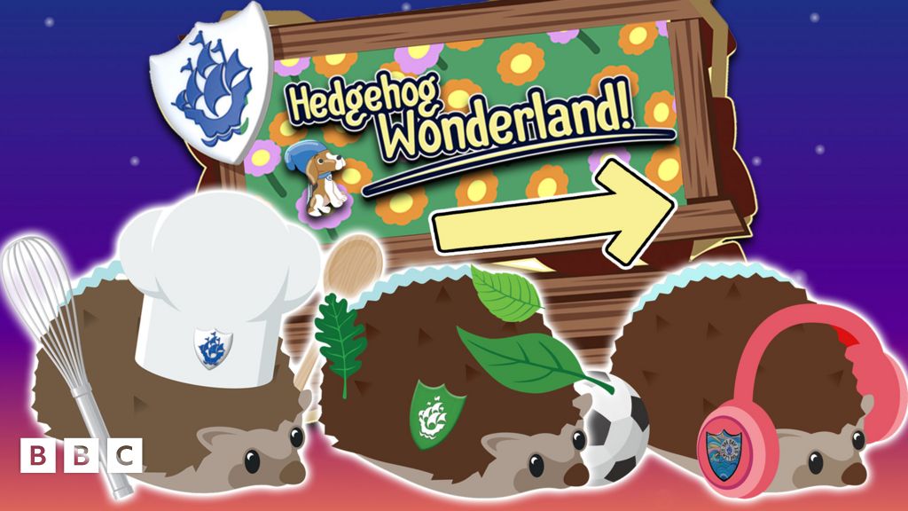 Animal quiz | Hedgehogs | Cute animals | Quiz for kids | CBBC quizzes ...