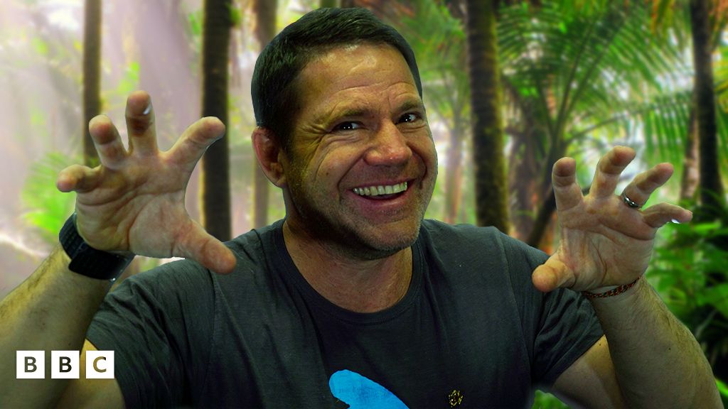 Deadly 60 Steve Backshall's Deadly Ratings Game - Blue Peter - CBBC - CBBC