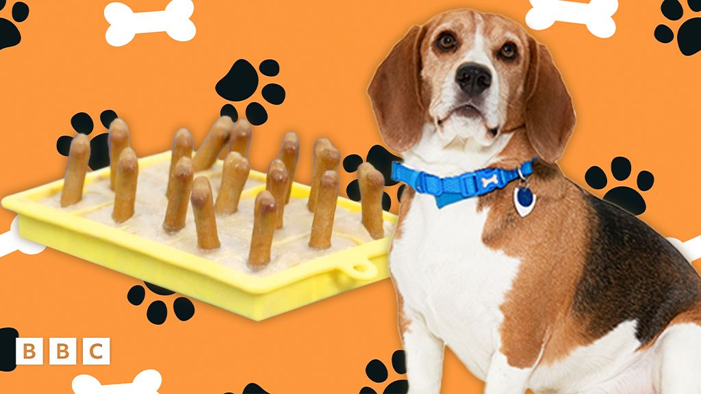 How to make ice lollies for dogs | DIY frozen dog treats | Peanut ...