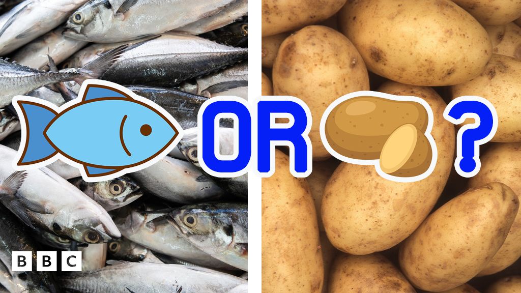 Fish and chips quiz | Do you know your fish from your chips? - CBBC