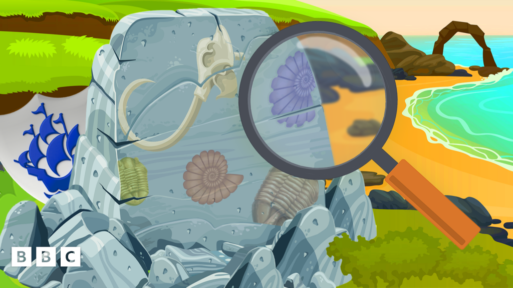 Places across the UK you can go fossil hunting for children and ...