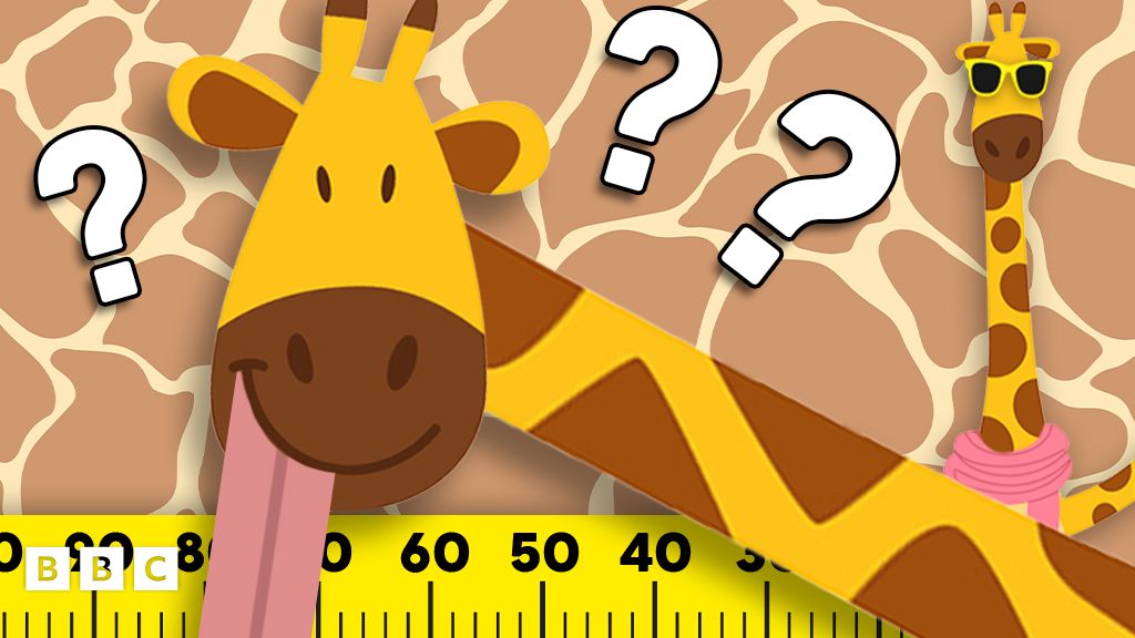 Fun free giraffe quiz for kids | Fun giraffe facts | Interesting ...