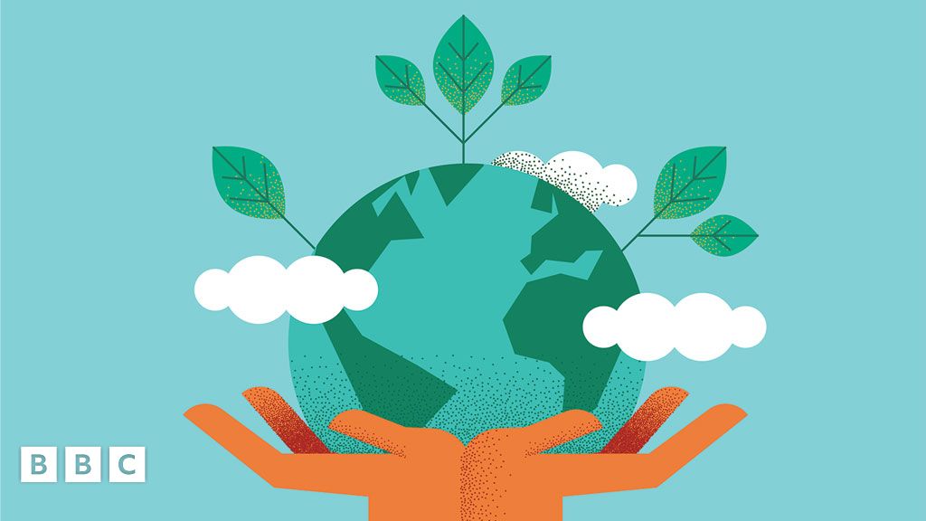 A solicit for kids to send pledges to help save the planet - CBBC