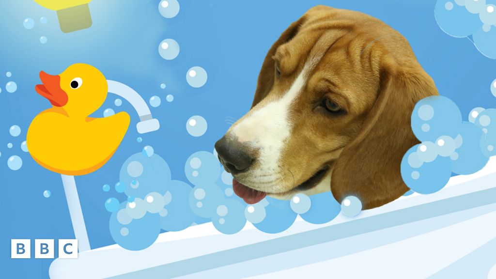 BP Henry bathtime - CBBC