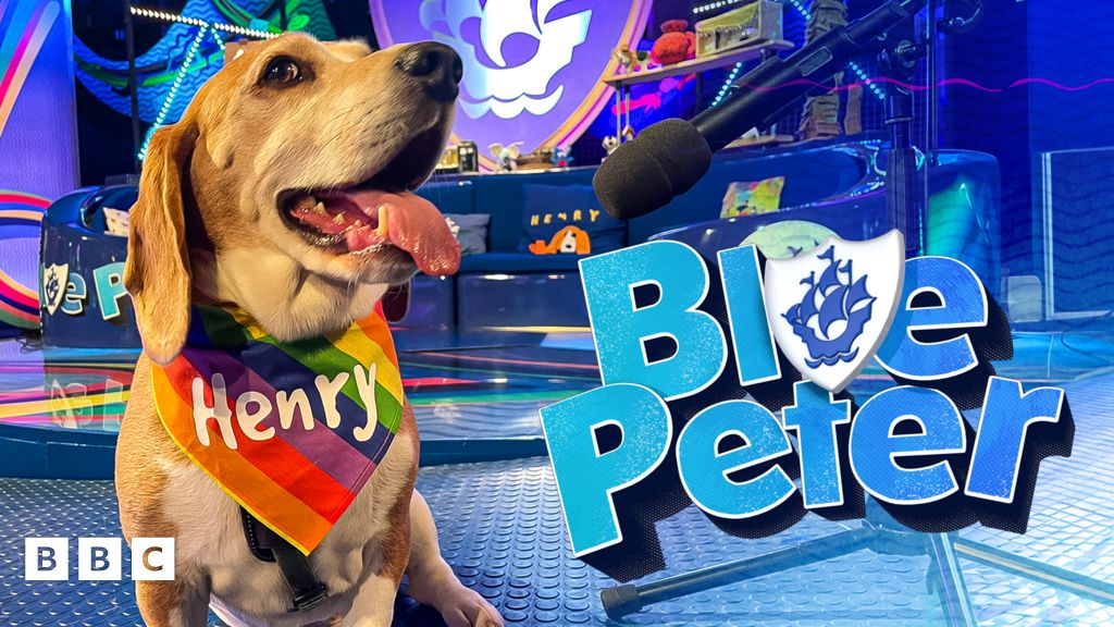 A video montage of Blue Peter's pet Henry the dog. - CBBC