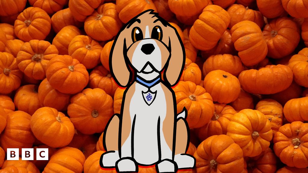 Spot the Blue Peter dog Henry | Free games for kids - CBBC