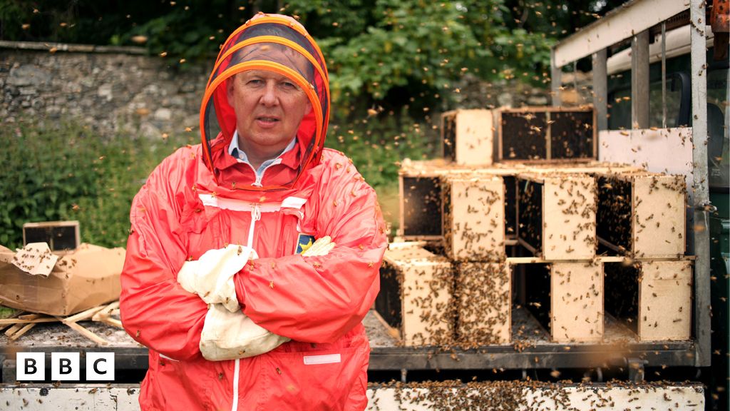 Bill from BBC Breakfast's bee tips - CBBC
