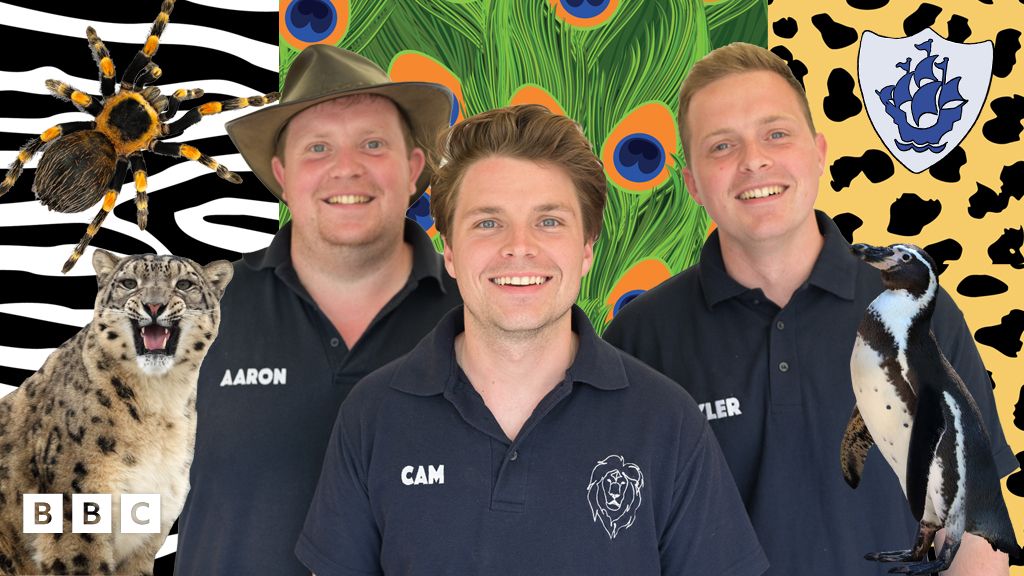 One Zoo Three on Blue Peter | Animal facts | Zoo questions | Blue Peter ...
