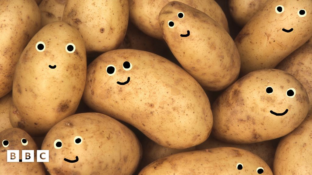 National Potato Day | Potato Quiz | Do you know your potato? - CBBC