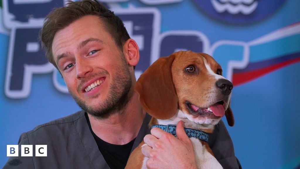 Henry the Blue Peter pet challenge - CBBC