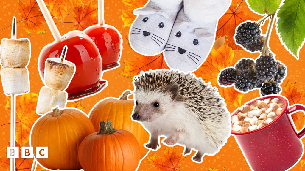 Autumn activities for kids | Autumn things to do | Fun quizzes for kids ...