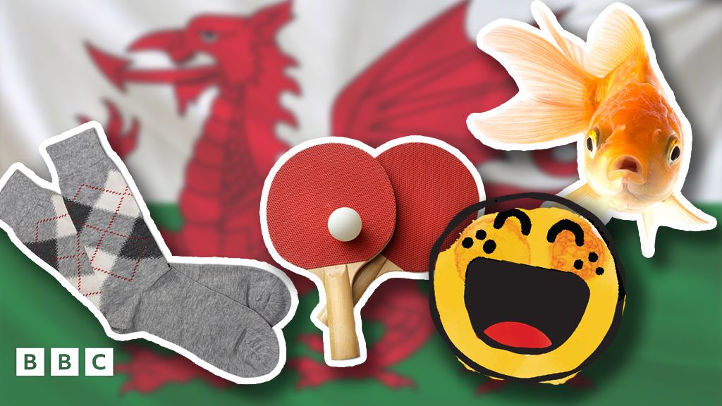 Welsh words and the meanings to them quiz for children. - CBBC