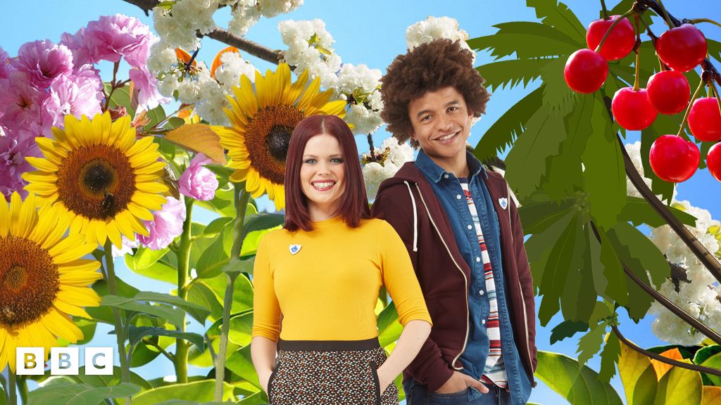 What would be in your dream garden? - CBBC