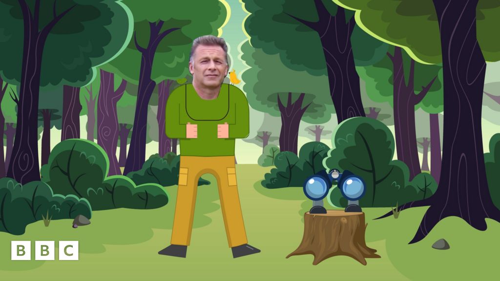 Springwatch Special - CBBC