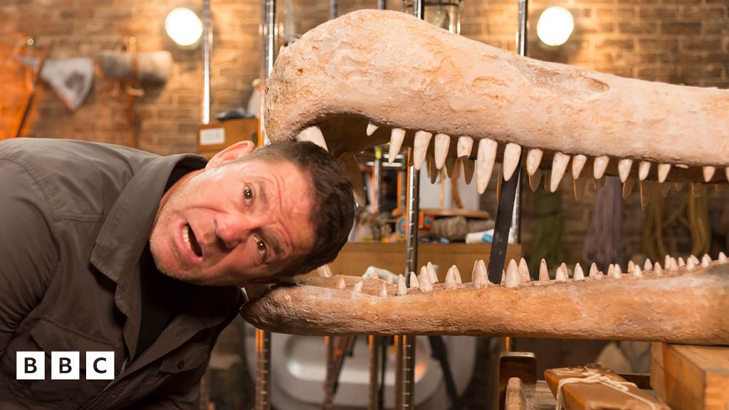 Steve Backshall takes on the dinosaurs - CBBC