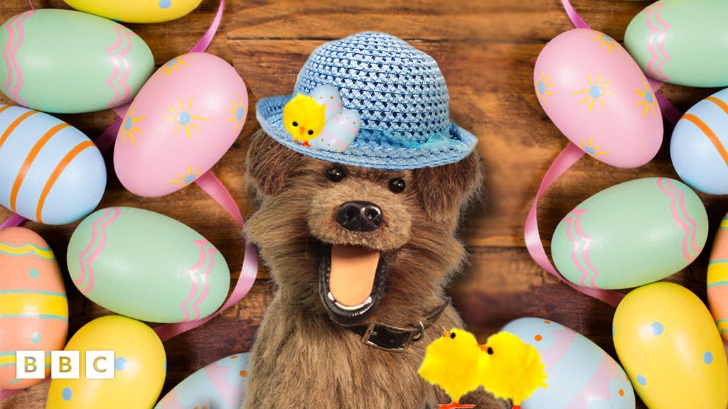 What are your plans for the Easter break? - CBBC
