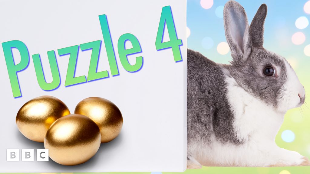 Daffodil Peek-a-Boo - CBBC