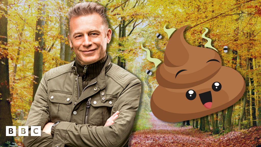 Quiz: Who did the poo? - CBBC