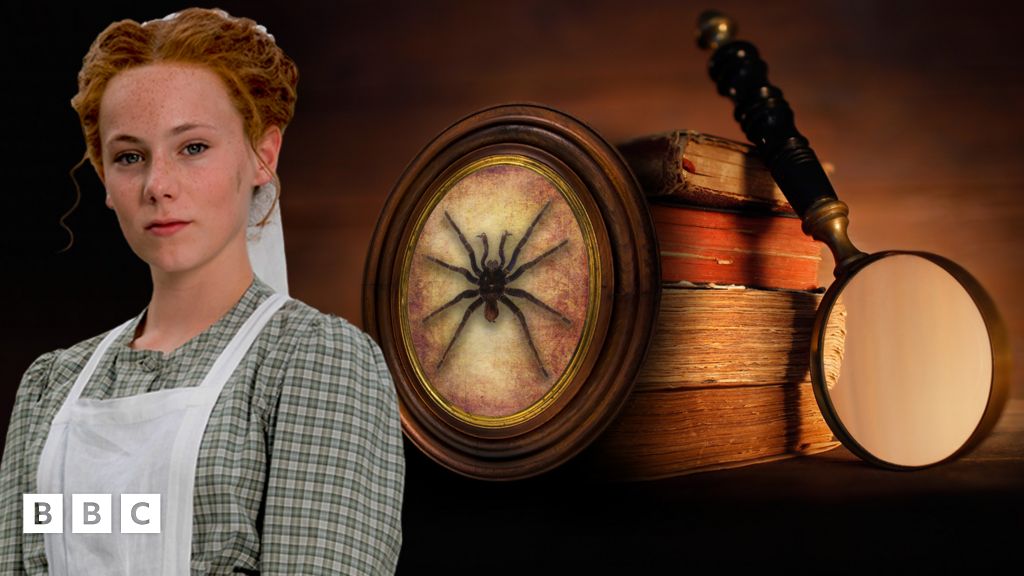 The Case of the Missing Spider - CBBC